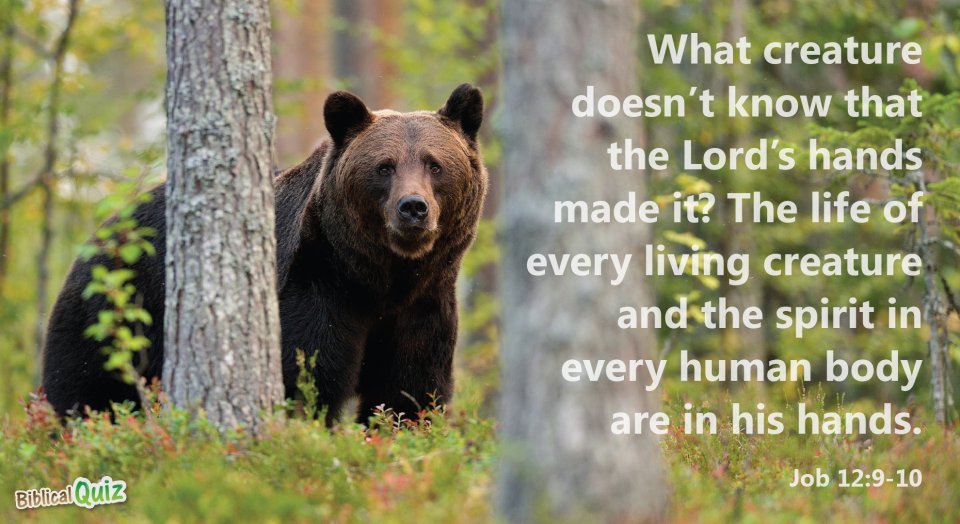 Job 12.9-10 - Biblical Promises