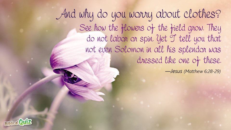Matthew 6.28-29 - Biblical Promises